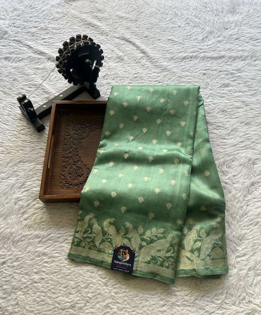 Pure Chiniya Silk Saree Sea Green Color Paired With a Jal Border. – Sampradaya Designer Studio